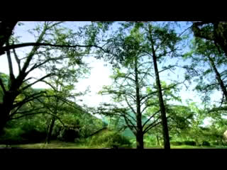 征信宣传片 - 中国人民银行征信中心