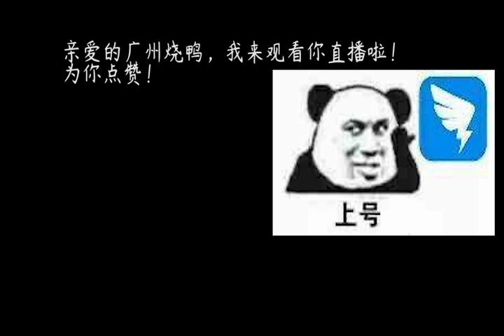 vlog②之我的钉钉图鉴