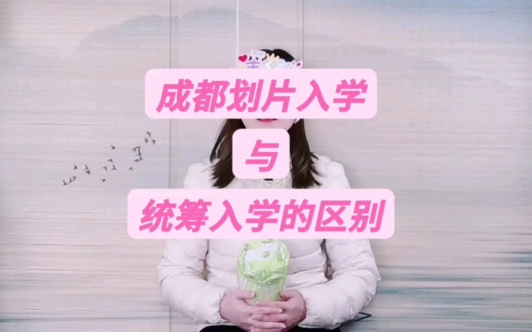 成都公办小学与民办小学的区别在哪里?