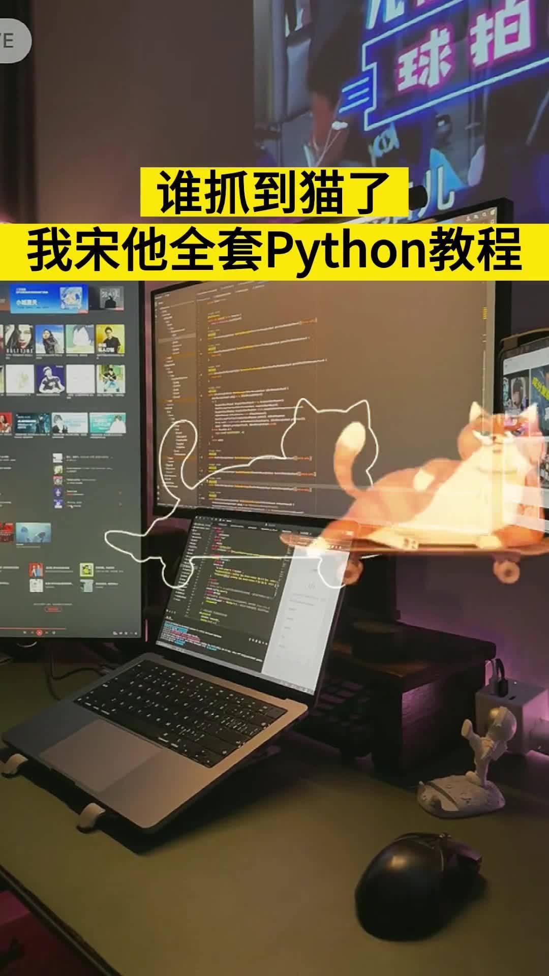 抓猫挑战,不信你们能抓到抓到直接白给全套python教程