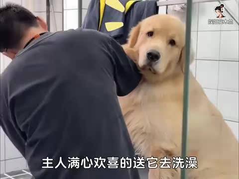 不爱宠物的人,到底为什么要开宠物医院?