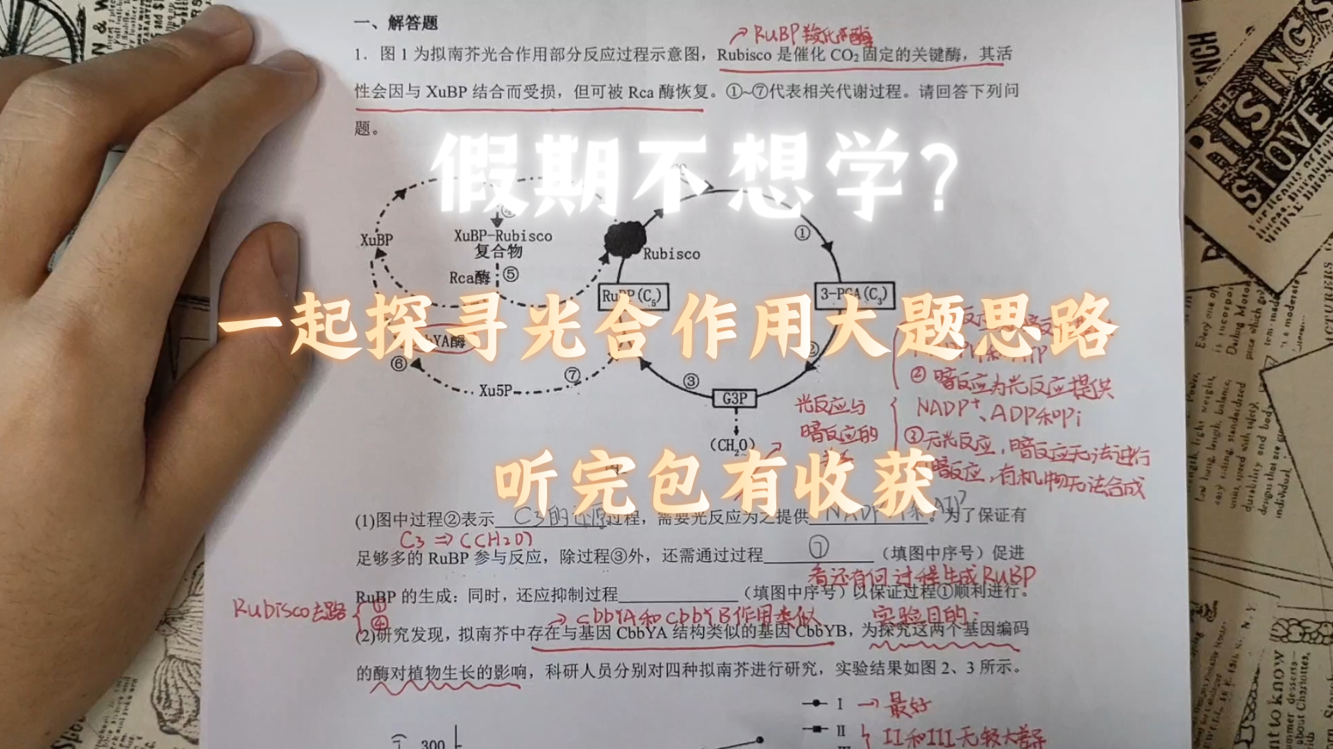 第二期:【光合作用大题】“涉及实验的相关处理方法和思路”