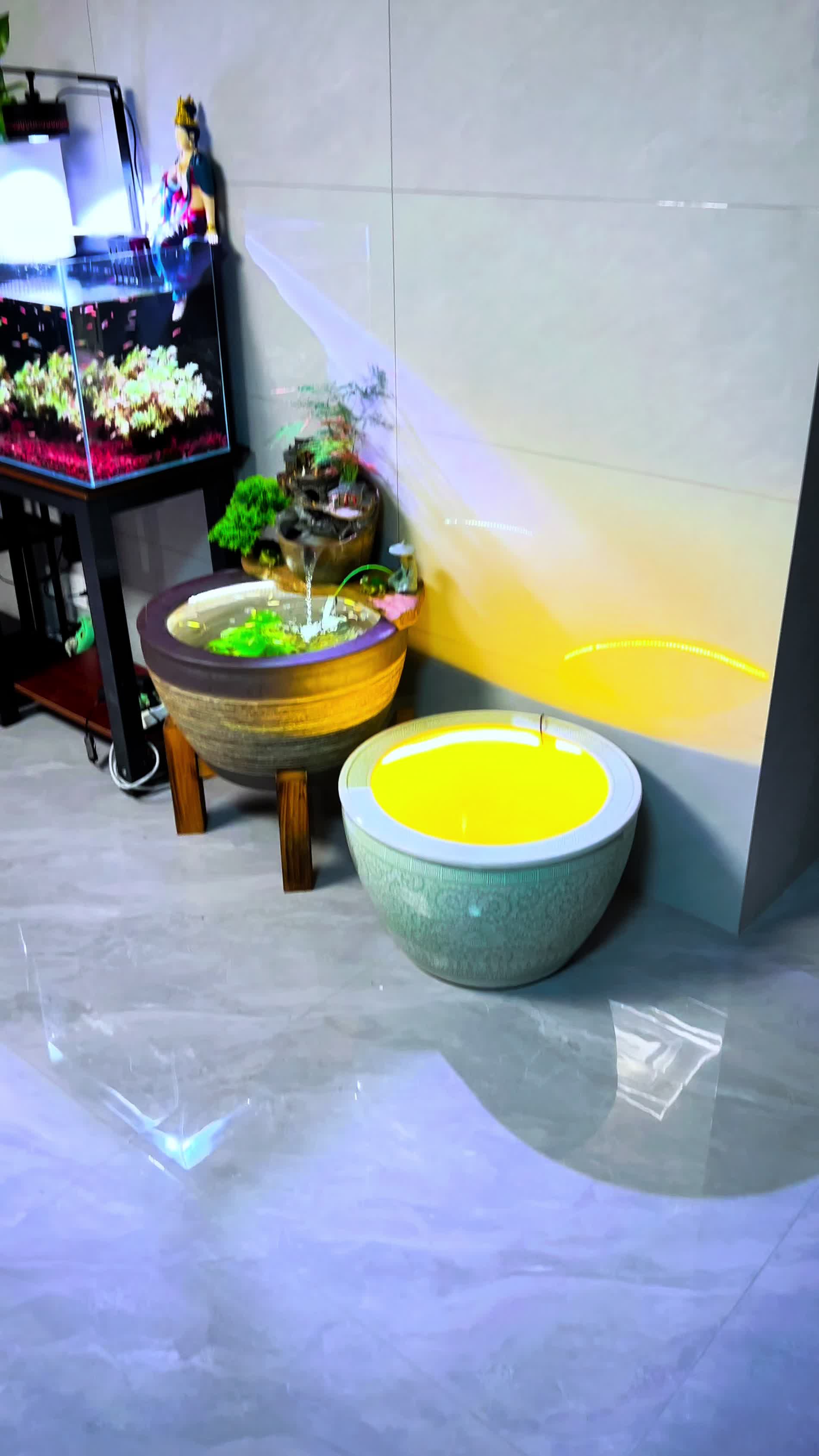 养鱼日记 家里鱼缸比较低的可以试下这个实木木架,安装简单效果美观#...