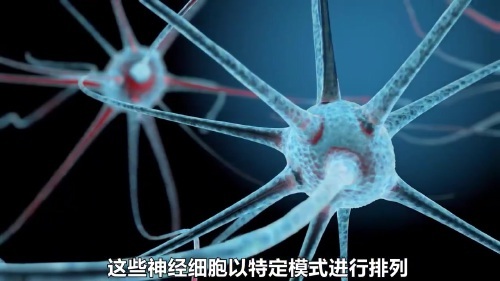 人脑有多强大?与超级计算机相比,哪个赢了?