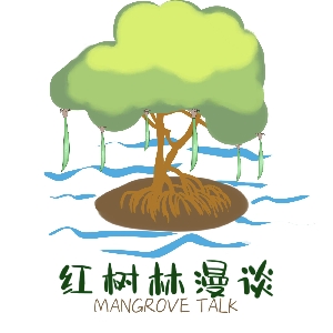 红树林漫谈 