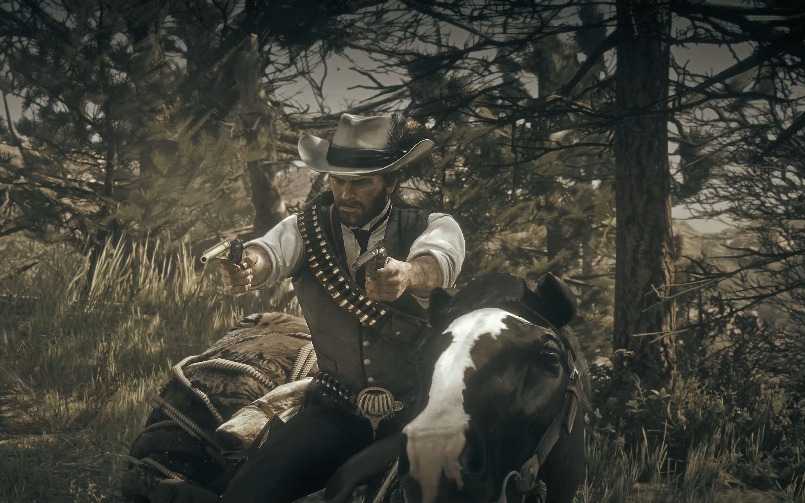 3060ti G6X 荒野大镖客2画面设置及帧数表现