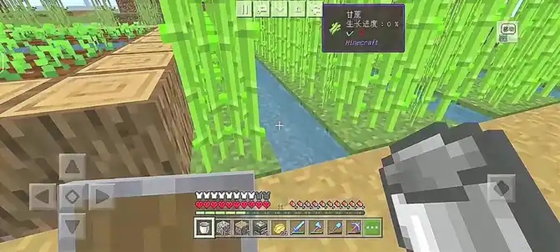 我的世界极限生存(6) (2)