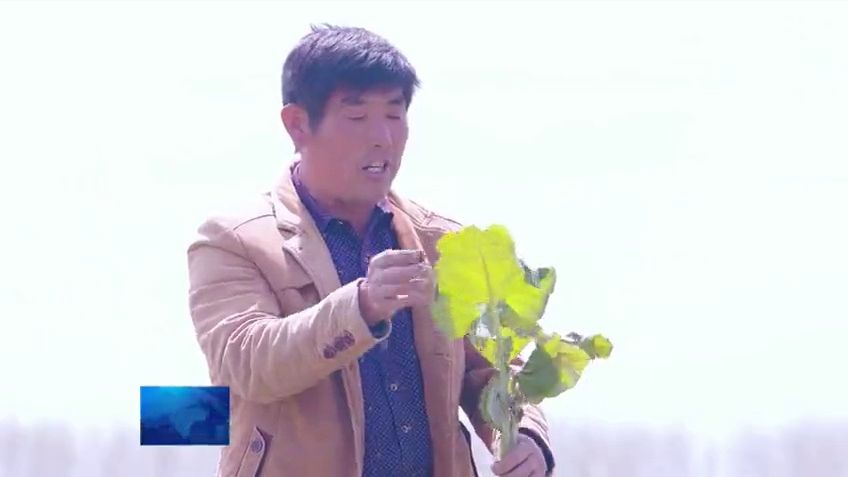 “兰陵实施鸿雁工程助推乡村人才振兴”案例被评为全国典型