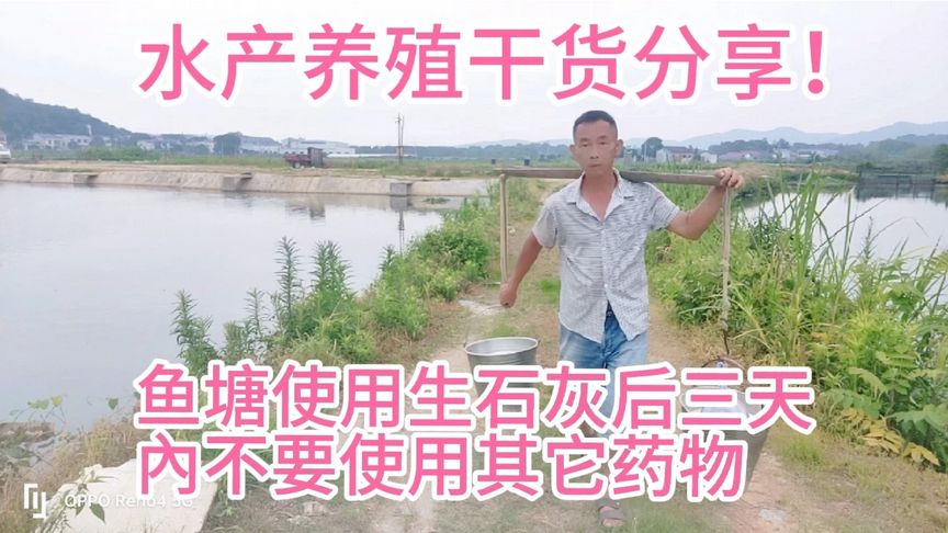 鱼塘使用完生石灰后,三天内不能使用其它药物,否则后果很严重!