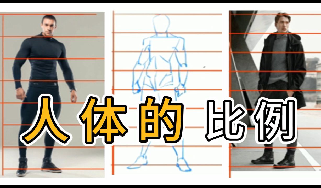 中教互联佩琪老师讲解怎么样学习人体的比例