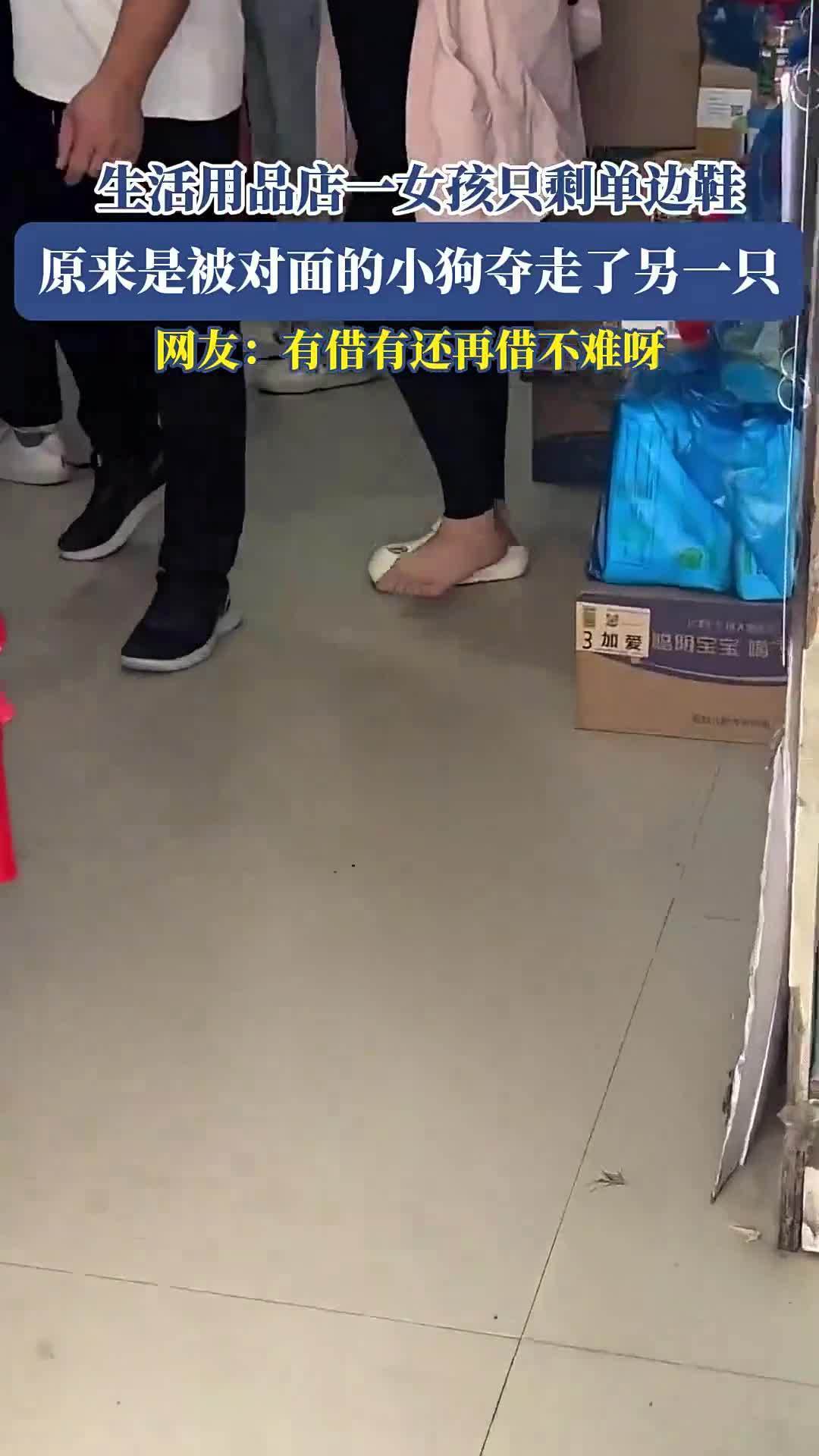 生活用品店女孩只剩单边鞋,竟是对面小狗夺走另一只!