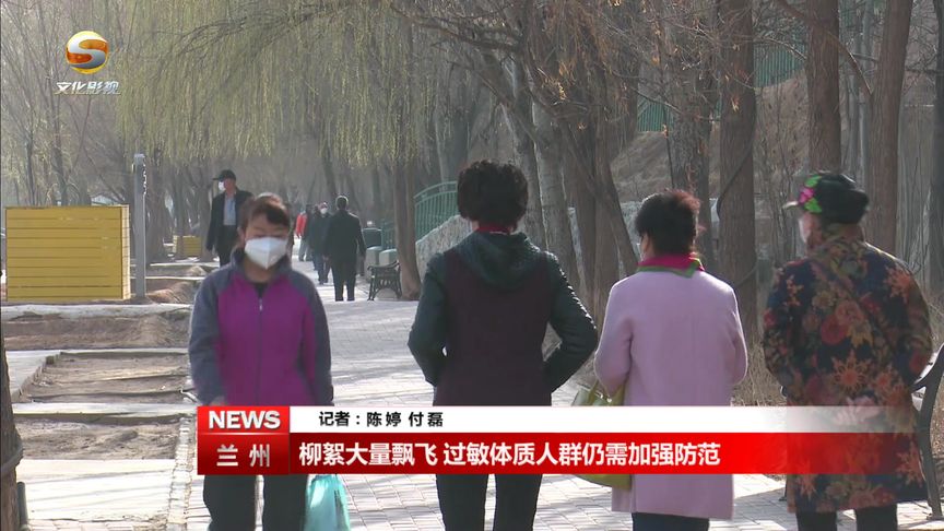 柳絮大量飘飞,过敏体质人群仍需加强防范!柳絮会传播新冠肺炎?