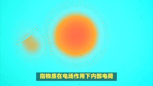 极化现象解析