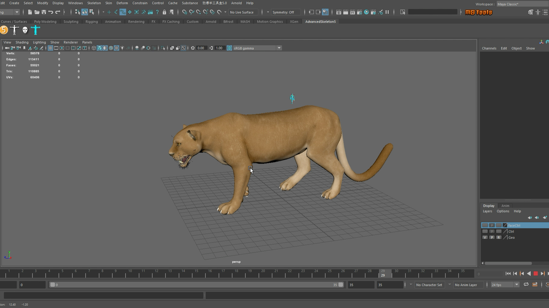 大学四足动物绑定练习记录