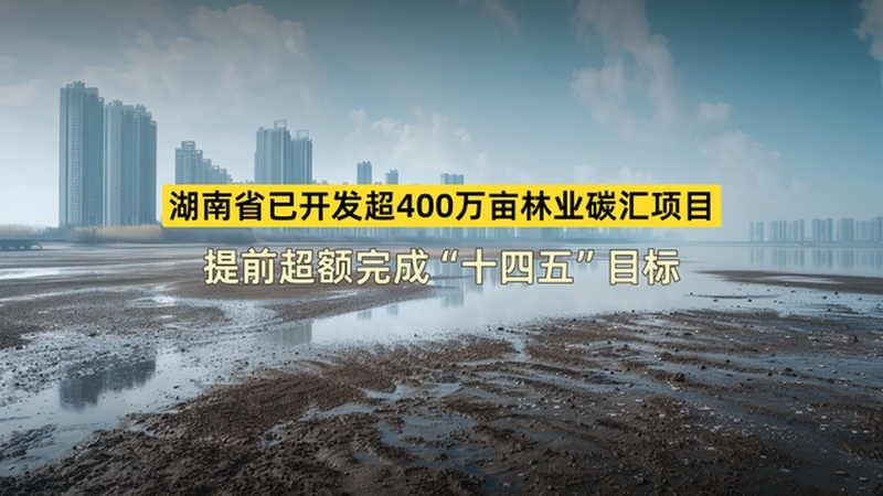 湖南省已开发超400万亩林业碳汇项目 提前超额完成"十四五"目标