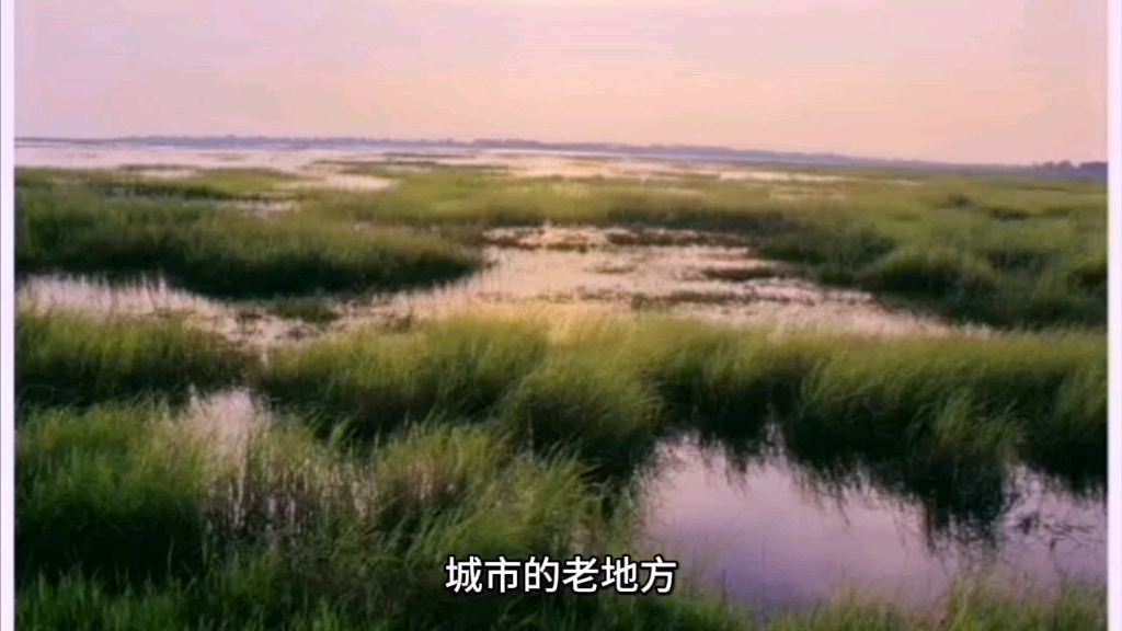 鄱阳湖国家湿地公园