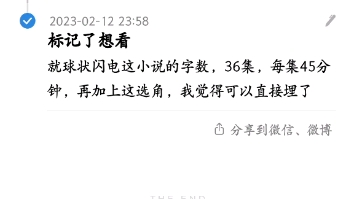 电视剧《球状闪电》,我觉得可以直接埋了