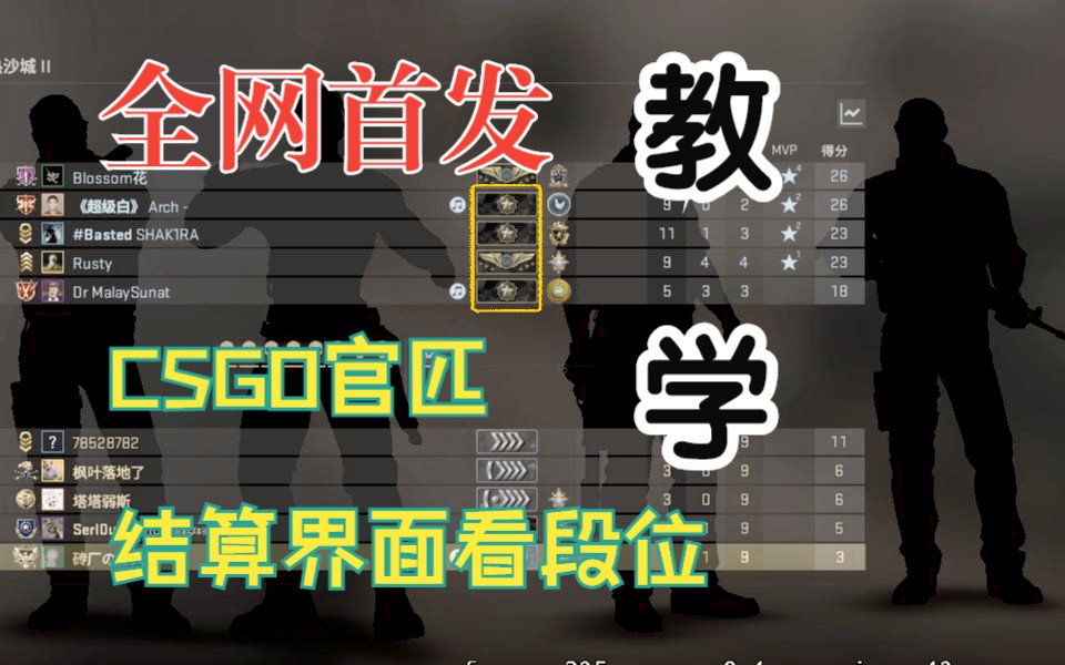 CSGO官匹教你看所有人段位_电子竞技热门视频