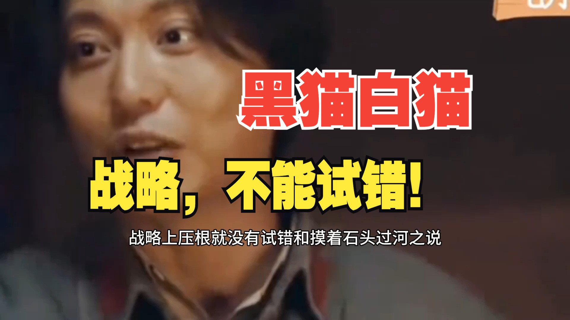 毛选:战略上压根就没有试错和摸着石头过河之说!如何看待黑猫白猫论...