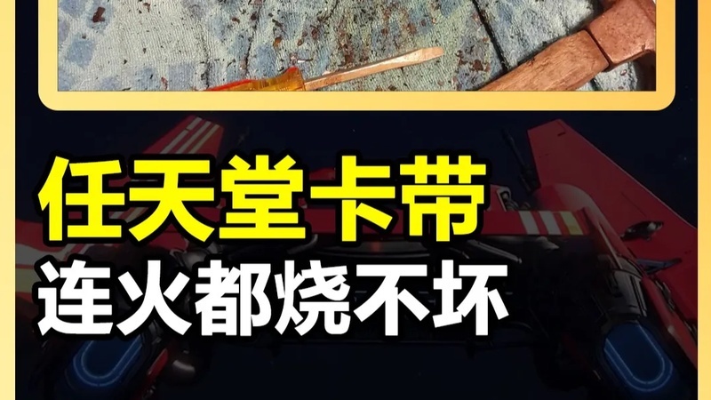 任天堂卡带 连火都烧不坏