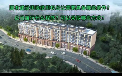 ...—国有建设用地使用权出让需要具备哪些条件?应当履行什么程序?...