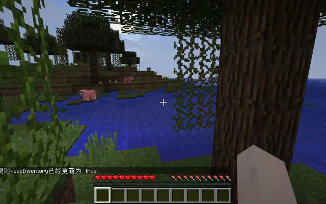 我的世界通关全过程,但是只有解锁成就的画面