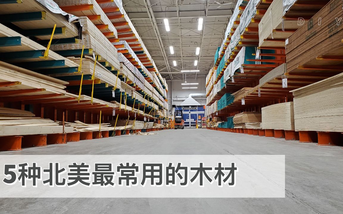 5种你必须知道的常见的木材