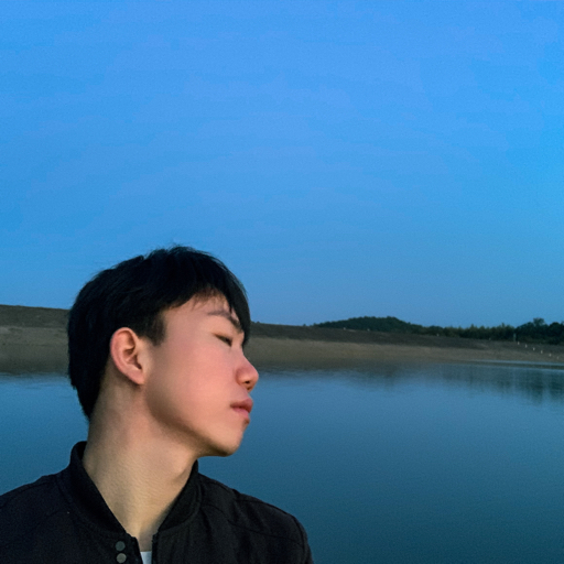 自由的小杨吖 