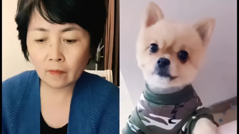 模仿秀!你们开心是我最大的快乐!