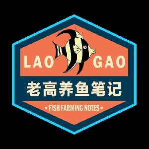 老高养鱼笔记 
