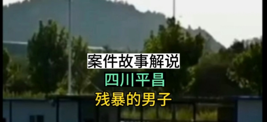 四川平昌的刑事案件,母亲参加儿子的婚礼后,竟被人残忍杀害,背后的...