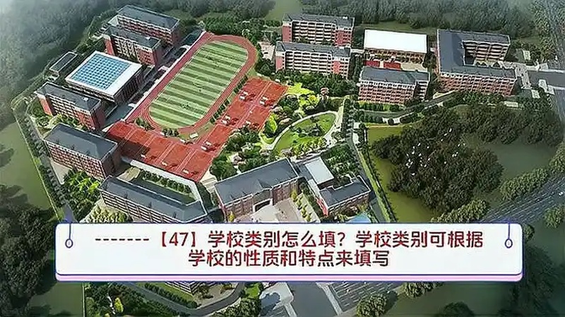 揭秘!学校类别填写的正确方式,别再填错