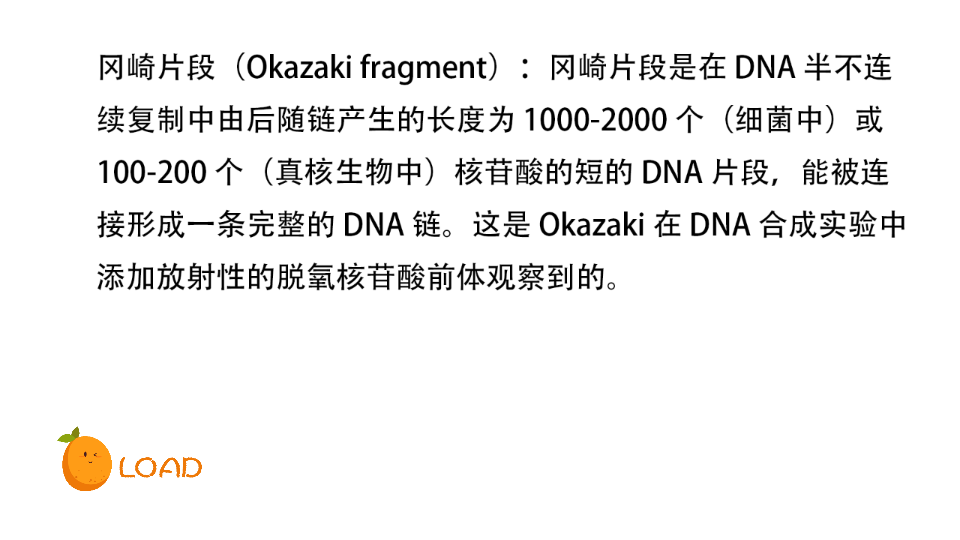 【普通生物学】名词解释(62) 后随链/冈崎片段/DNA 的半不连续复制