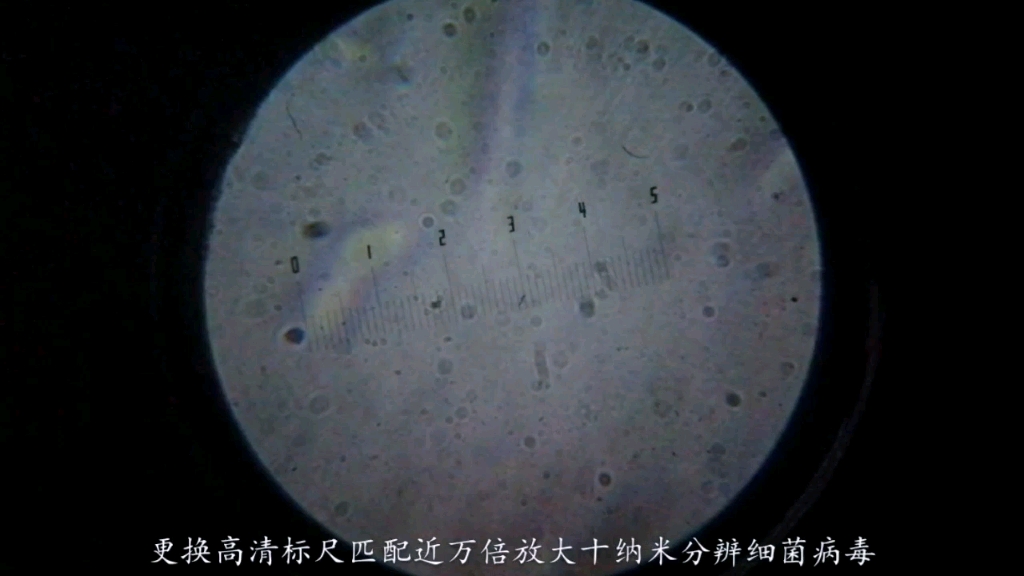 超显微术下放大6350倍:巨大的细菌已经能够匹配视野展示生活