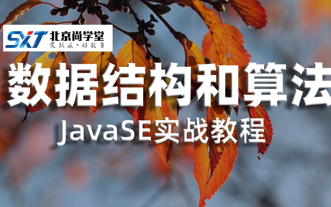 ...Java系列技术之数据结构与算法视频教程_二叉查找树、二叉平衡树...