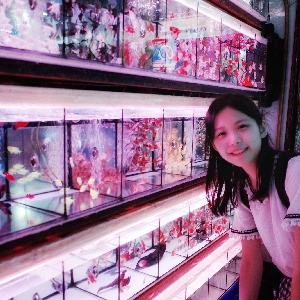 老诶诶的梦花园 