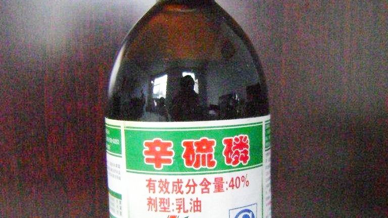 同样的杀虫剂辛硫磷,一家效果好,一家像是打白水,怎么回事?
