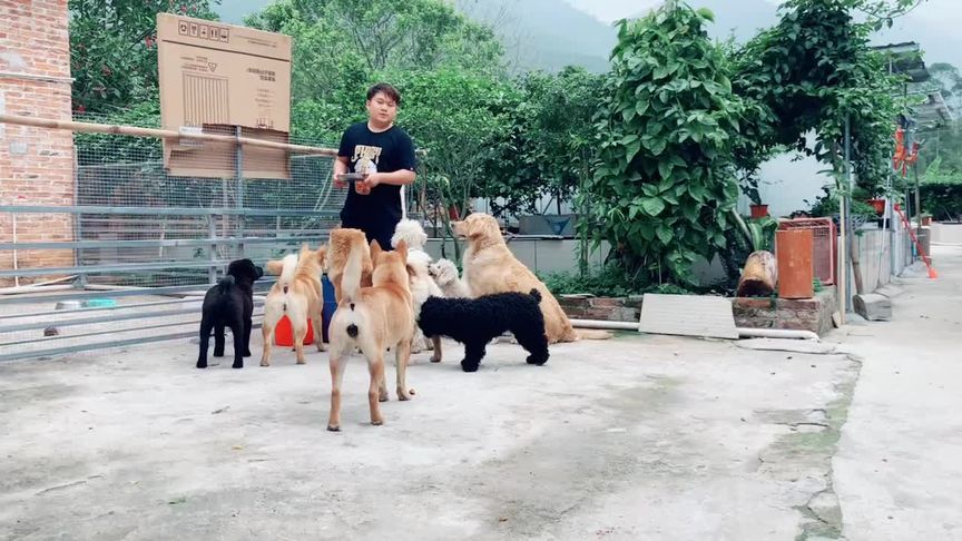 上个月过的教师资格证,学校安排实习,我说我找到了实习工作