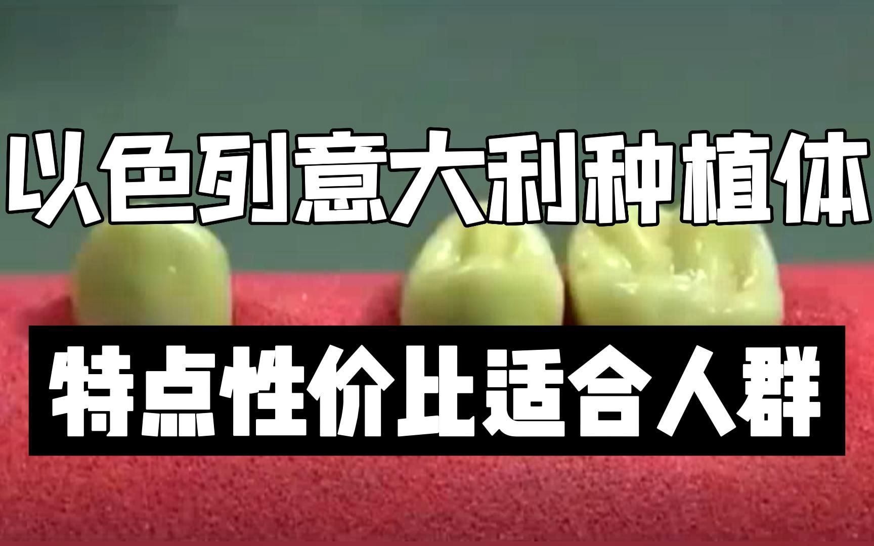 以色列意大利种植牙品牌众多,如何选择