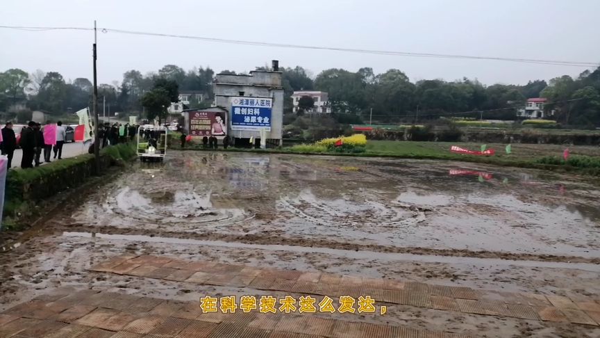 湘潭县水稻抛秧机演示现场