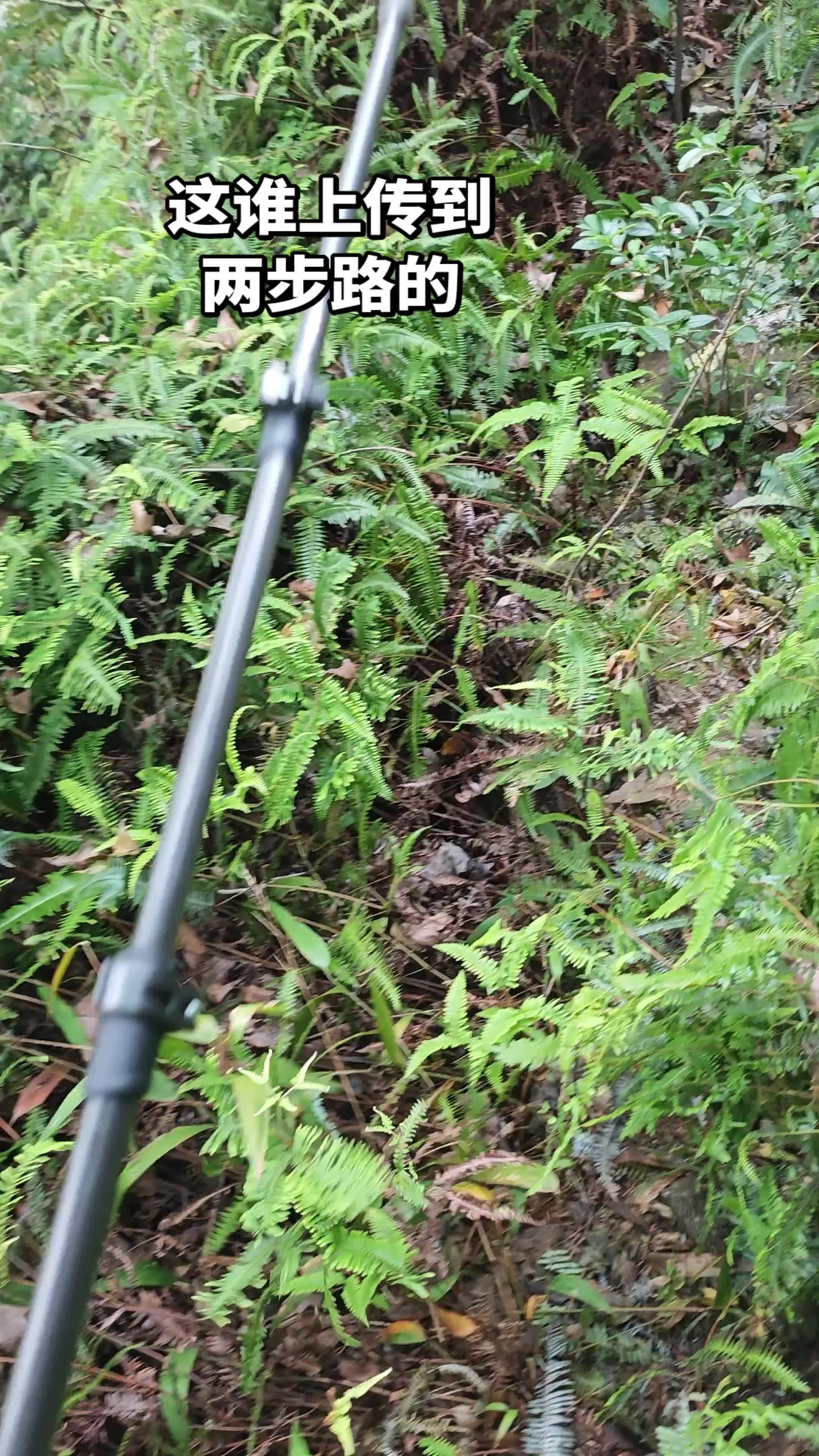 奉劝大家没事别瞎上传两步路轨迹,这TM有路吗?#徒步 #户外 #爬山 #...