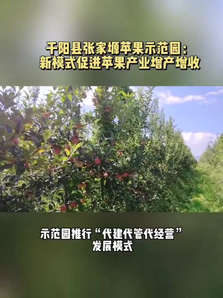 .新模式促进苹果产业增产增收据了解,示范园推行"代建代管代经营"发.