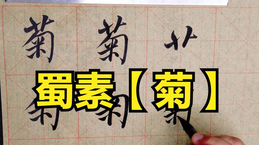 蜀素【菊】草字头的N种写法?超乎寻常的撇的写法?横折钩角度?