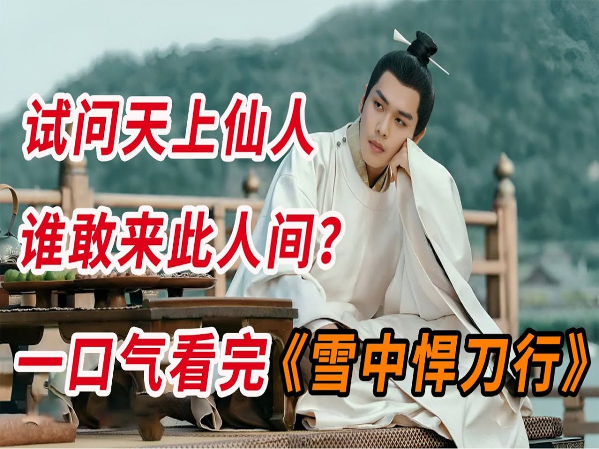 爆火网文改编!一口气看完《雪中悍刀行》全集