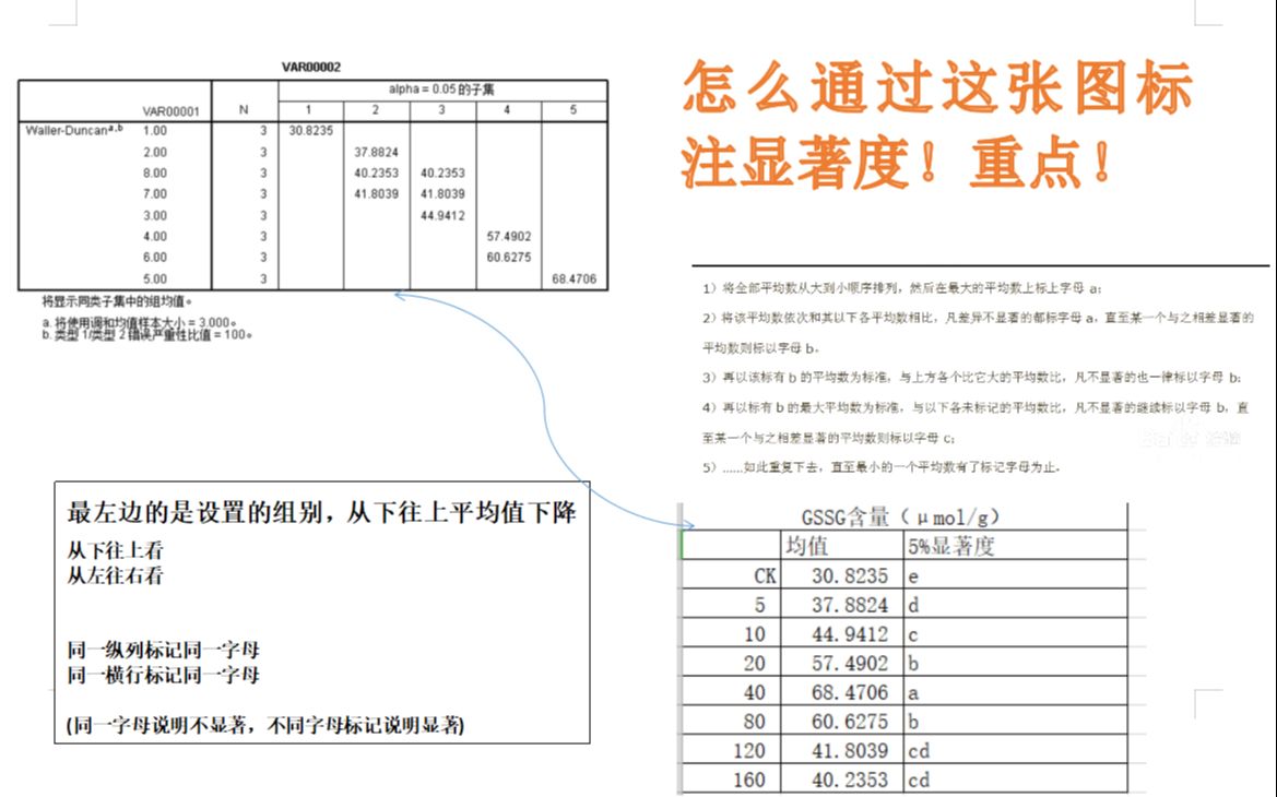 SPSS计算均值标准差,标显著度/Sigmaplot作柱状图(演示一遍,凑合着看)