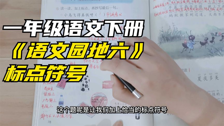 一年级语文园地六,标点符号如何正确使用,展示台,详细课堂笔记