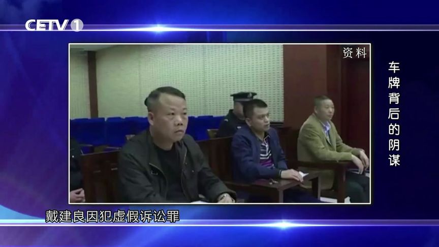 因为虚假诉讼被判刑的案例还有哪些?应当如何防范和避免?