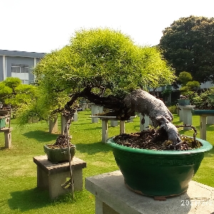污泥固化剂15309228900 