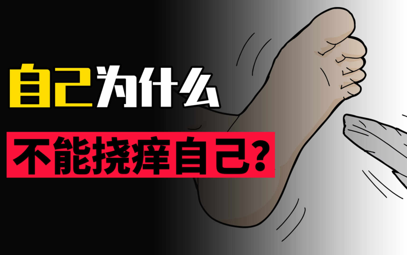 为什么自己给自己挠不痒,别人挠却痒到不行?