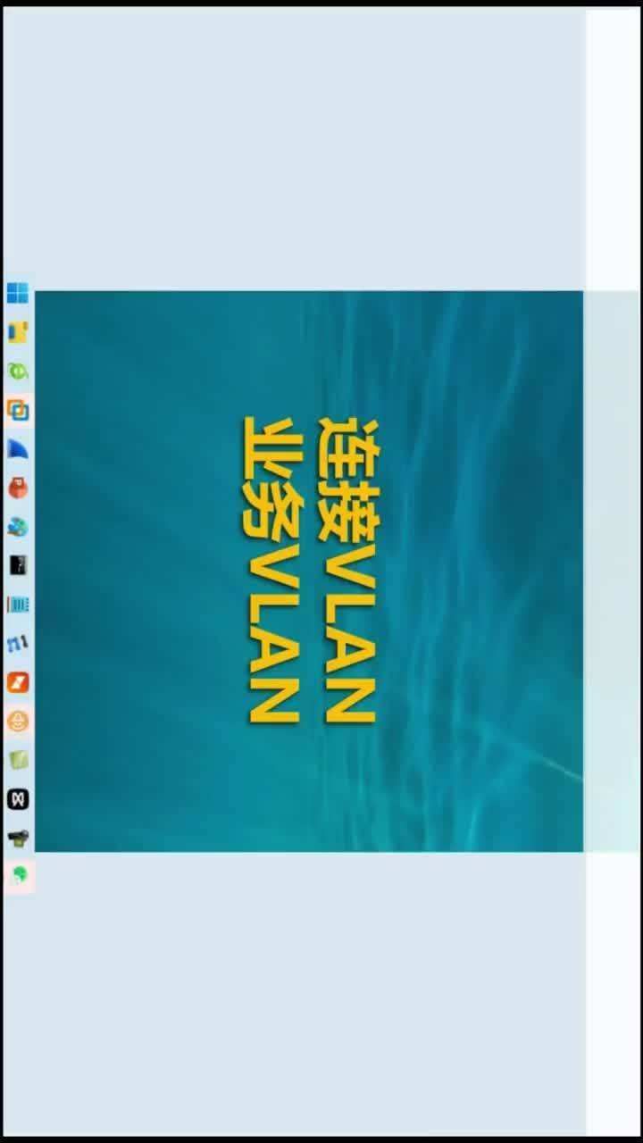 连接VLAN和业务VLAN